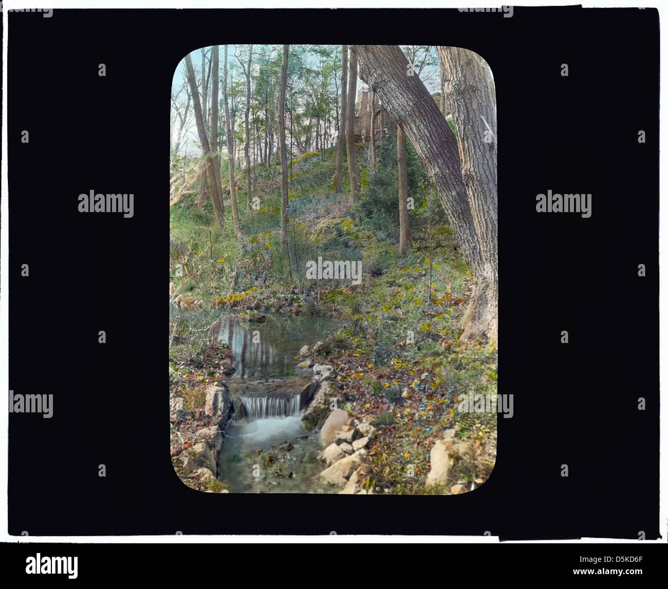 This image depicts a beautiful garden, though its location and designer ...