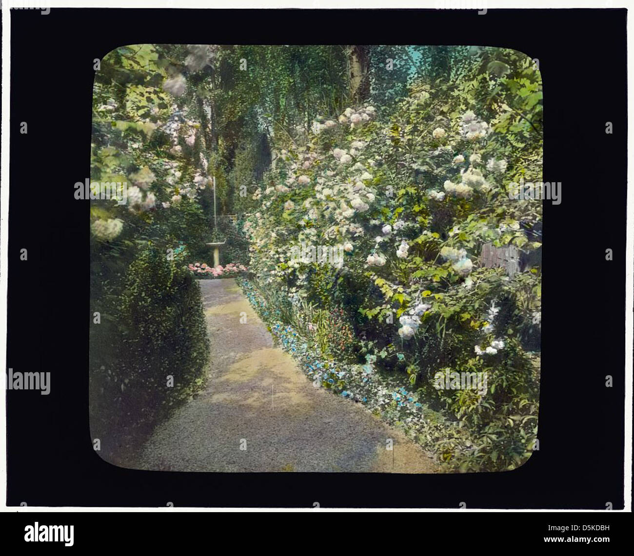 Joseph coleman hi-res stock photography and images - Alamy