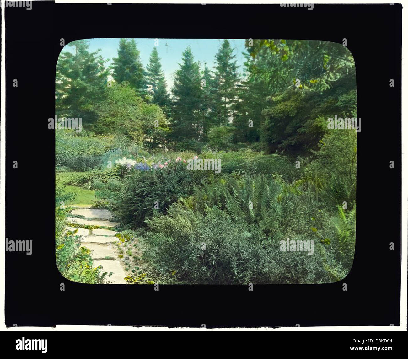 Reef point bar harbor hi-res stock photography and images - Alamy