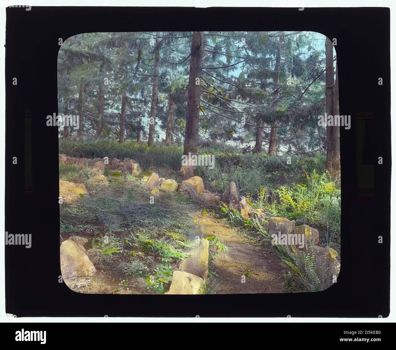 The image shows the Lyndhurst mansion, designed by architect Andrew ...