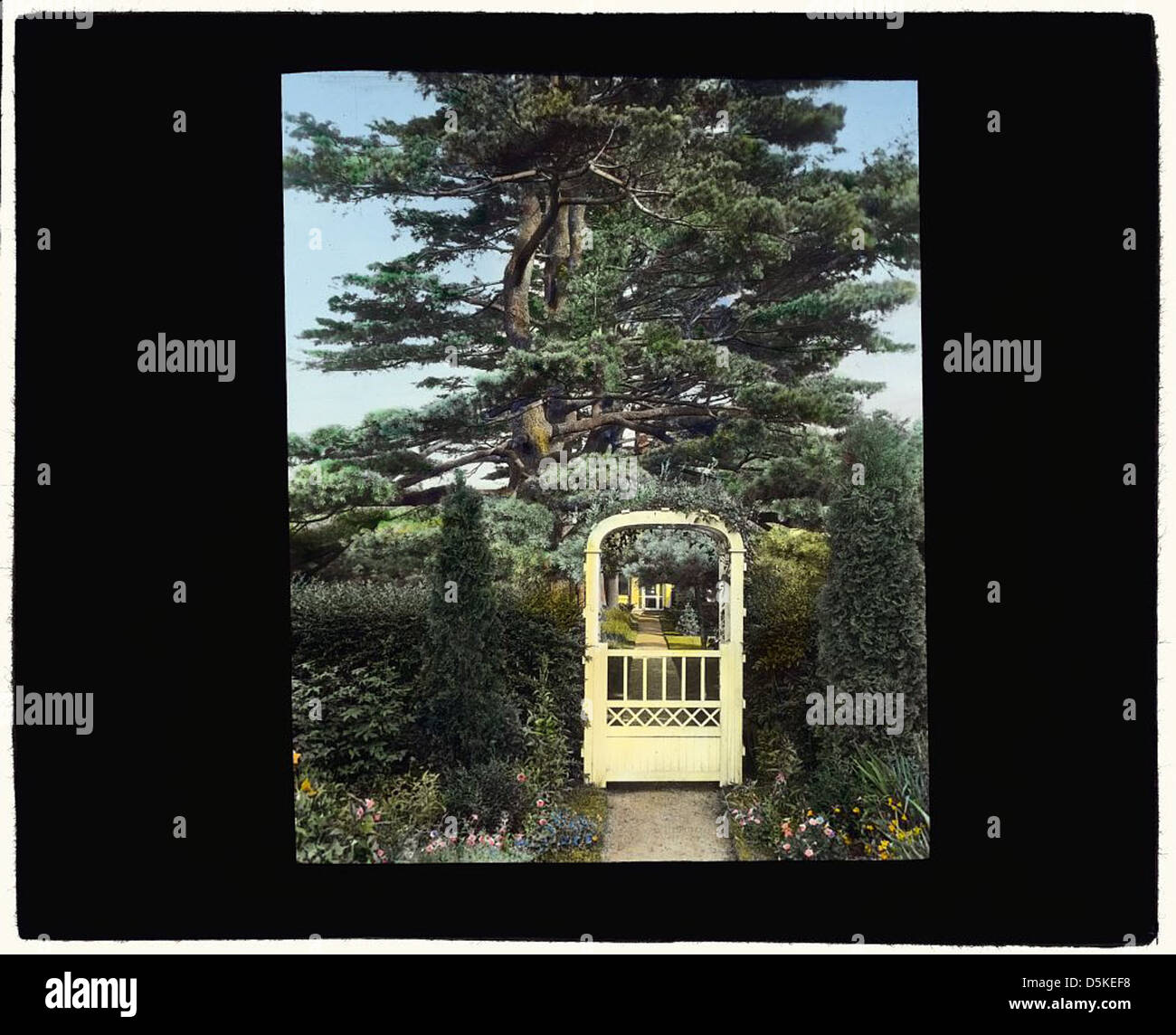 A photograph of the Charles William Moseley house, also known as ...