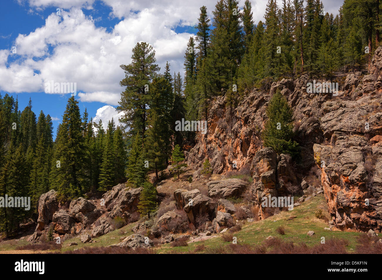 Alpine rock formation in New Mexico forest Stock Photo - Alamy