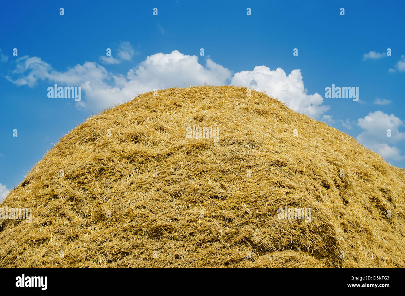 Straw heap under cloudy sky Stock Photo - Alamy
