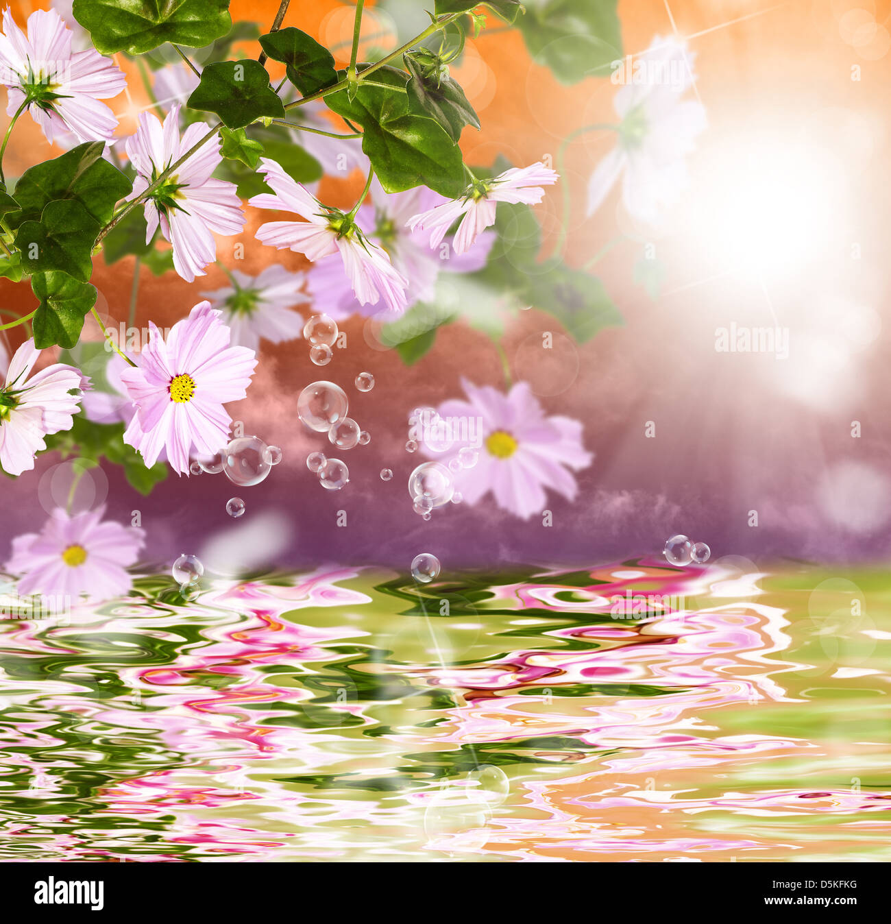 flower,season,nature,abstract,exotic, flora, floral,spring,landscape ...