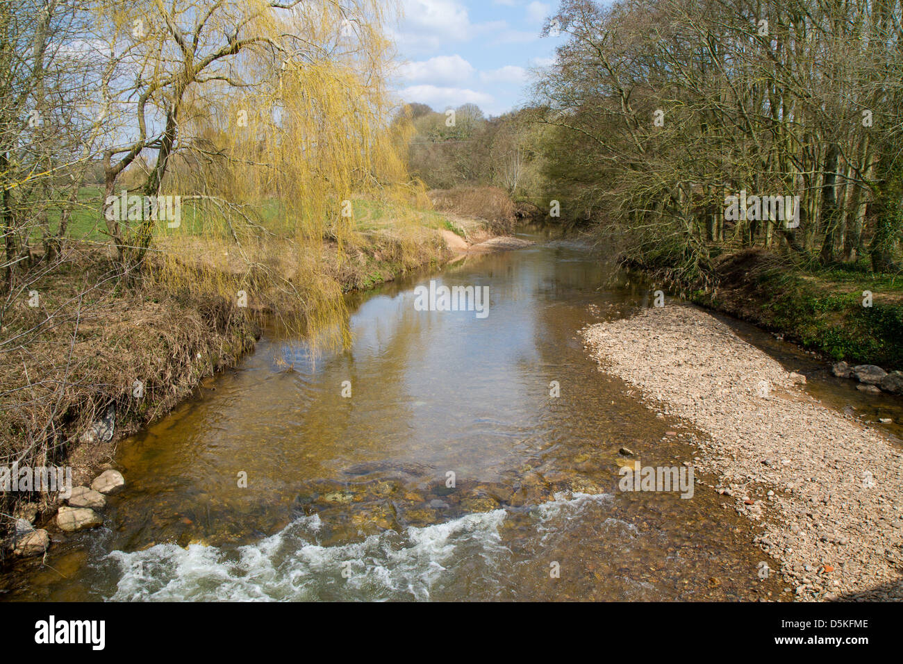 River Otter Otterton near Budleigh Salterton Devon England Stock Photo ...