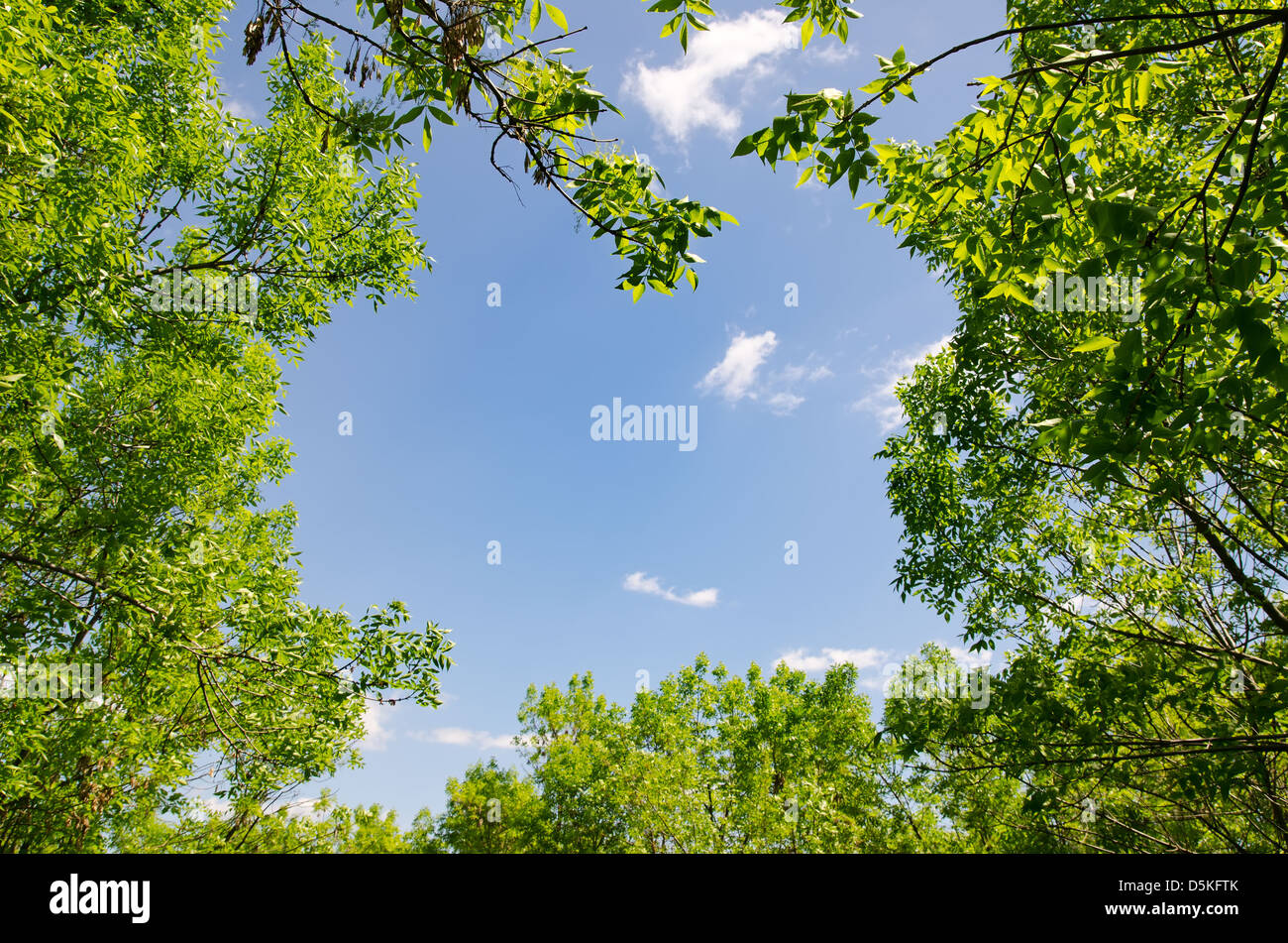 Bush frame hi-res stock photography and images - Alamy
