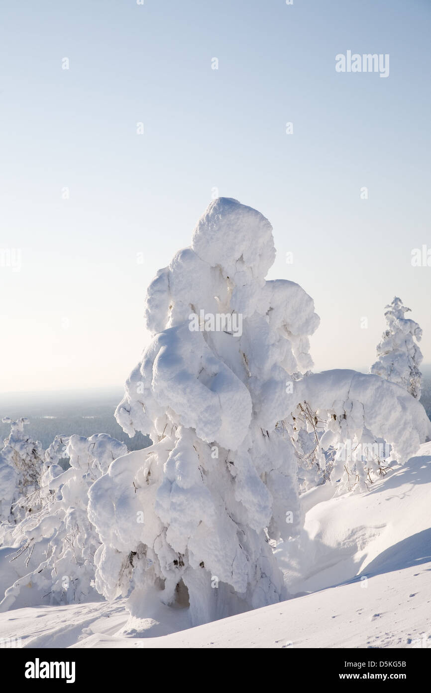 Cold winter with lot of snow and blue sky Stock Photo - Alamy