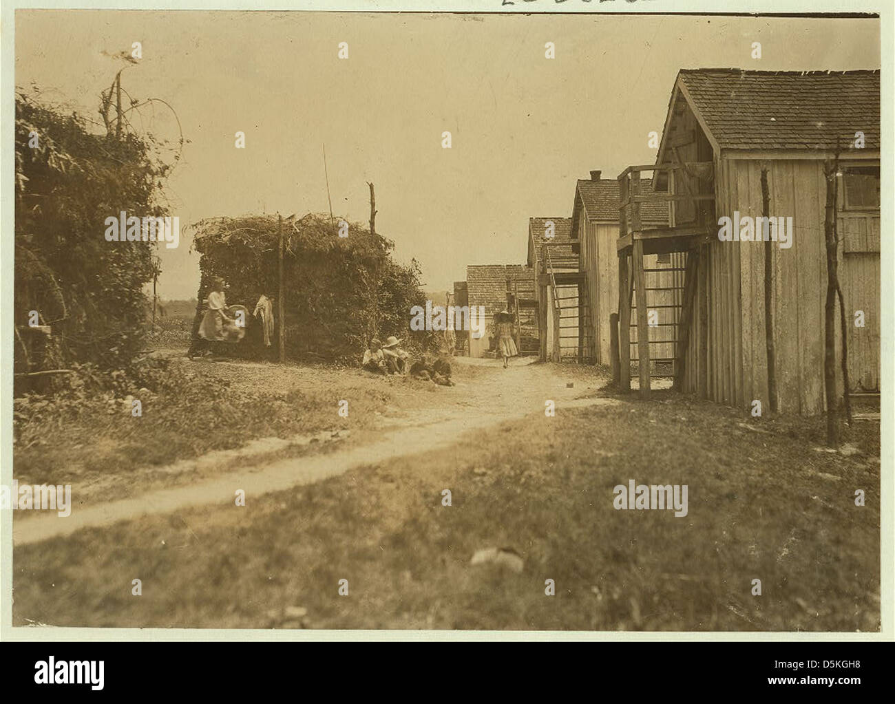 A photograph showing shanties and cooking shacks on the Bottomley berry ...
