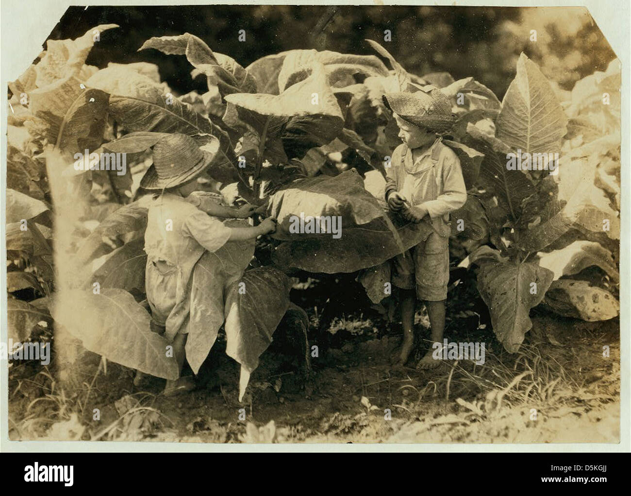 Albaton hi-res stock photography and images - Alamy