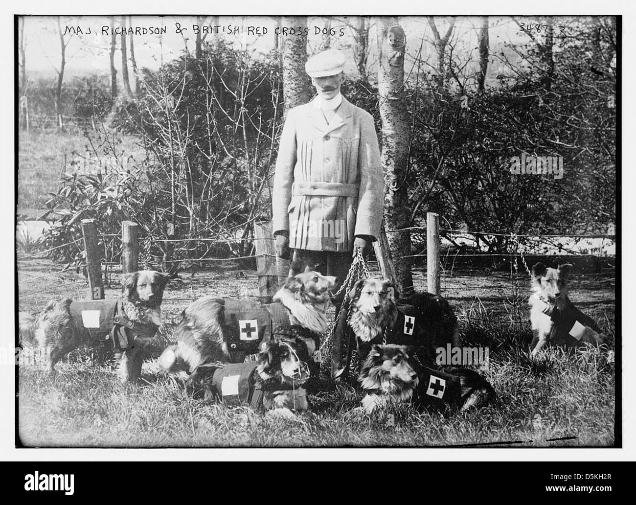 A photograph of Major Edwin H. Richardson, a trainer of war dogs with ...
