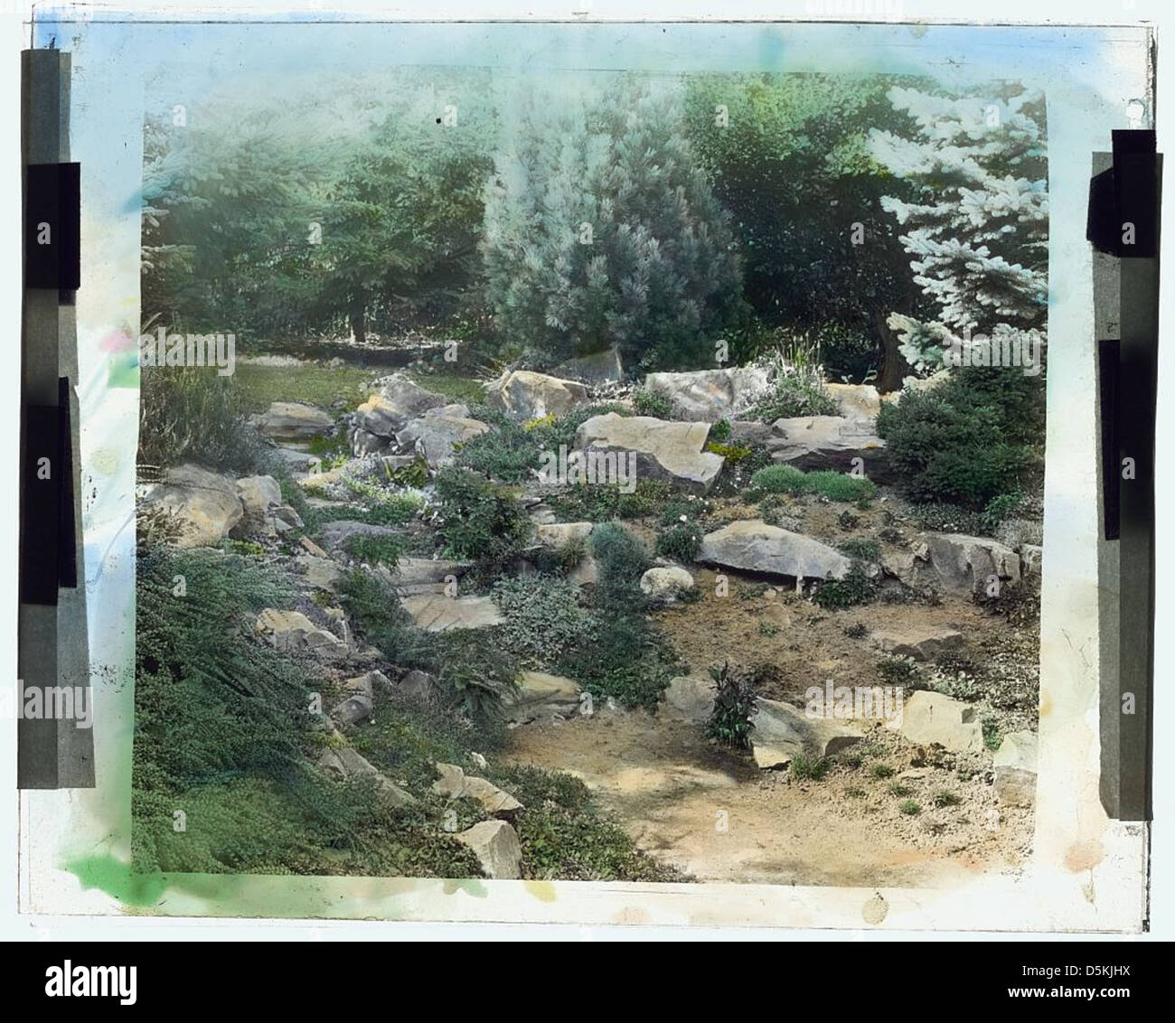 Robert Butchart High Resolution Stock Photography and Images - Alamy