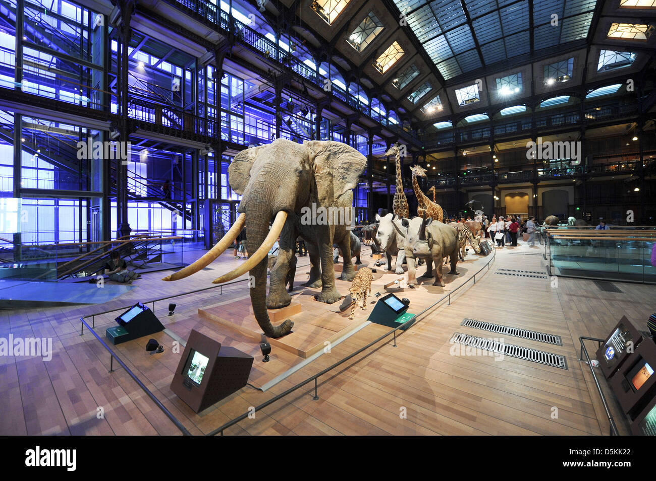 Interior of Evolution Museum Of Natural History. Paris, France - 11.04. ...