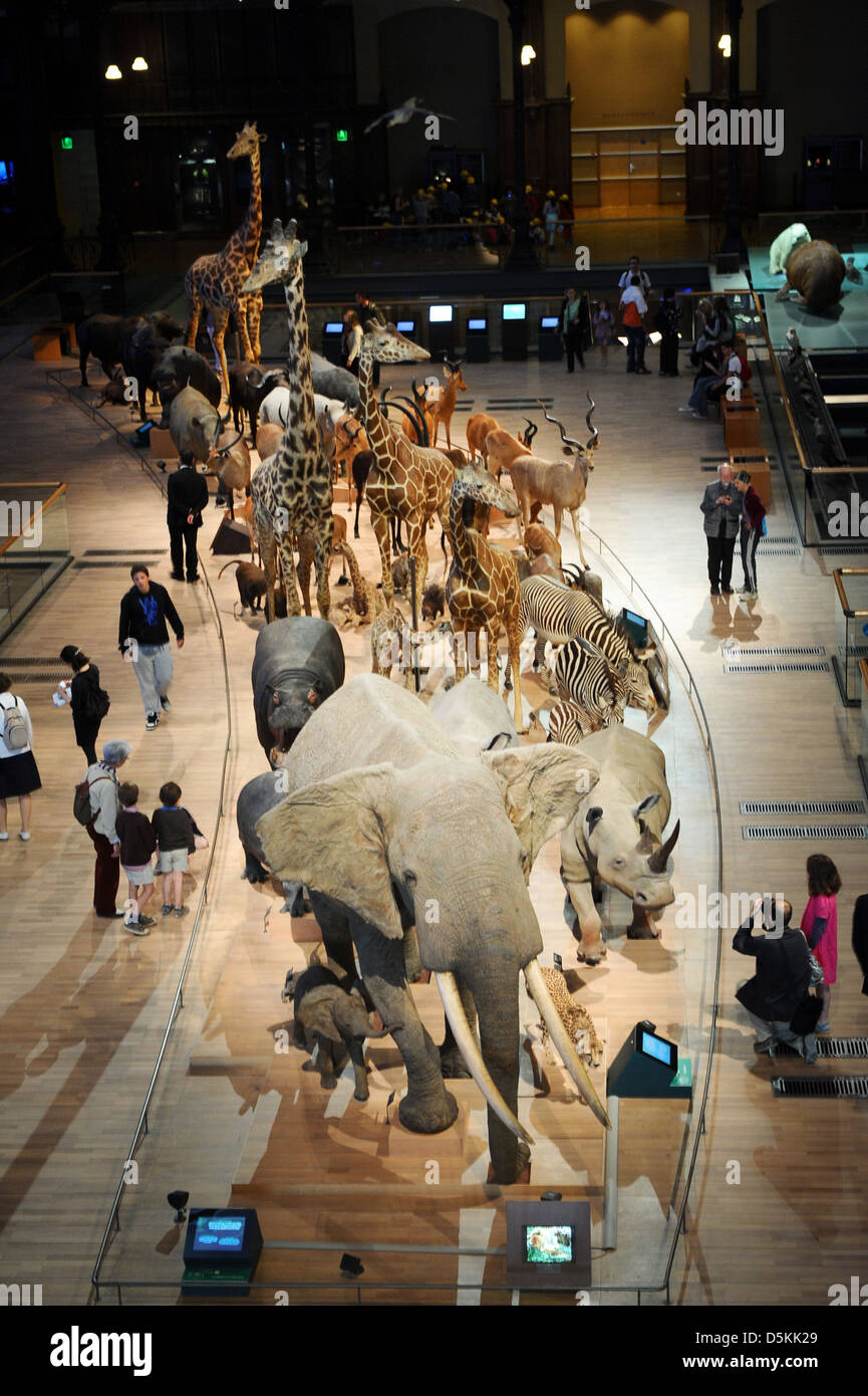 Interior of Evolution Museum Of Natural History. Paris, France - 11.04. ...