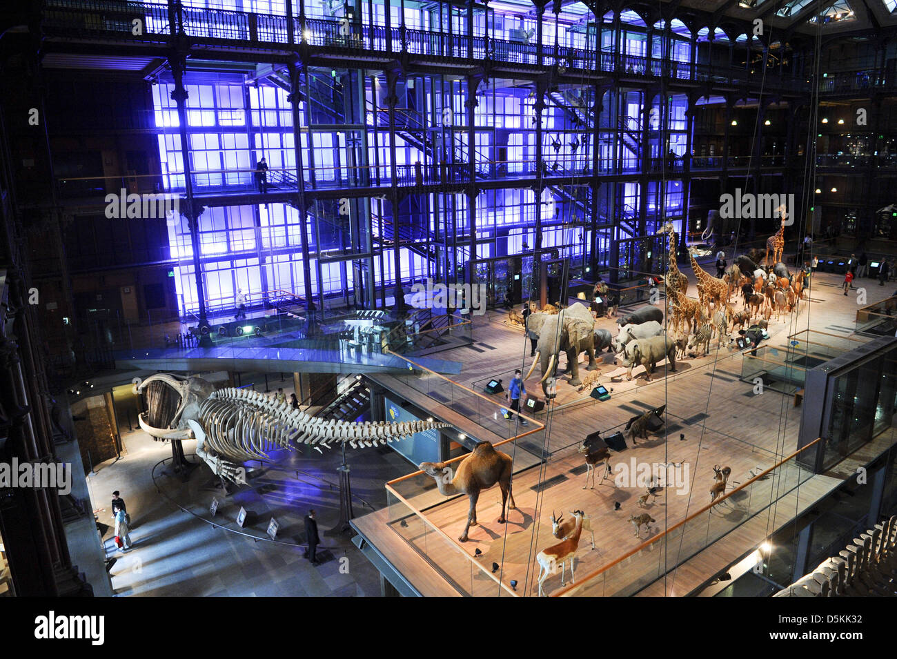 Interior of Evolution Museum Of Natural History. Paris, France - 11.04. ...