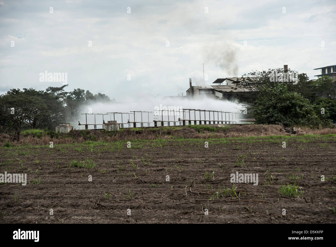 Sugar mill ,Costa Rica Stock Photo - Alamy