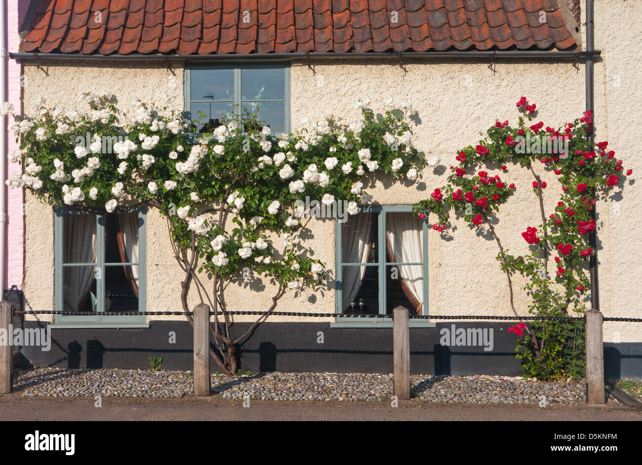 Old english cottage with climbing roses hi-res stock photography and ...