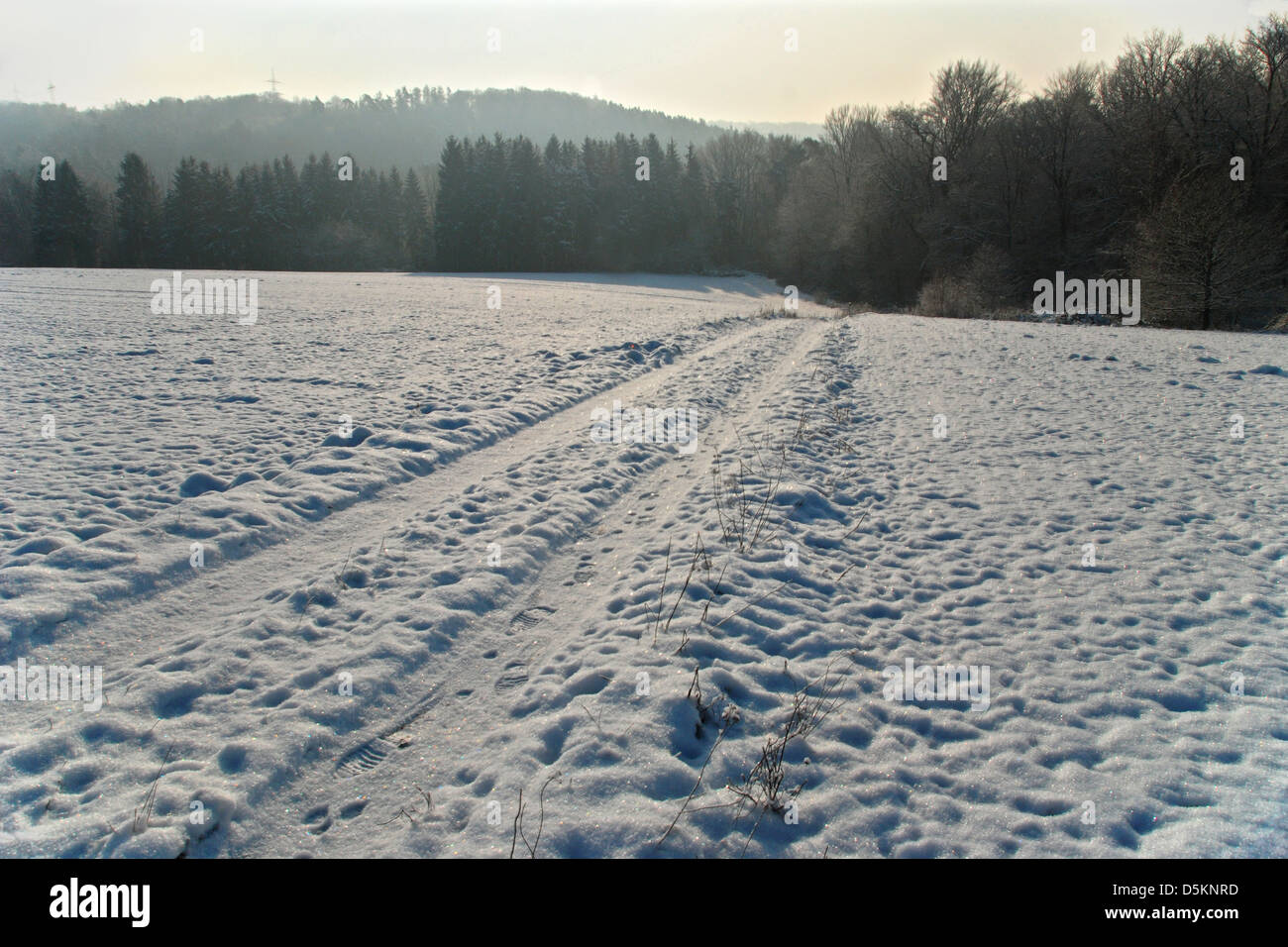 A path through the snow across fields in winter Stock Photo - Alamy