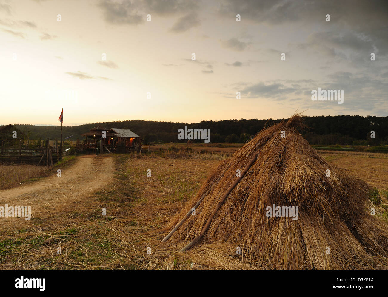 Sunset rural landscape, northern Thailand Stock Photo - Alamy