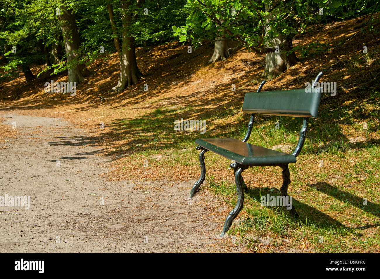 Empty bench on a path in front of trees Stock Photo - Alamy