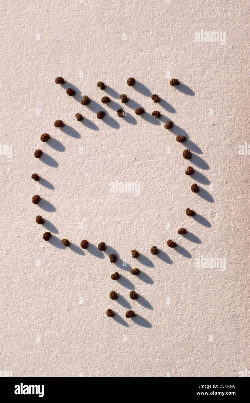 Poppy shape hi-res stock photography and images - Alamy