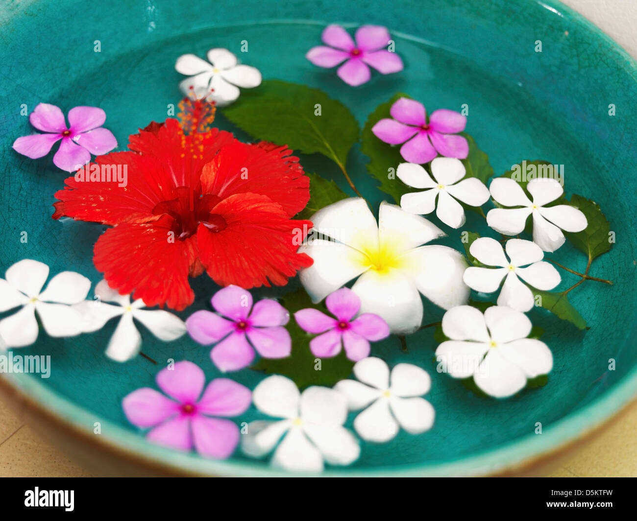 Bowl with floating flower heads Stock Photo - Alamy