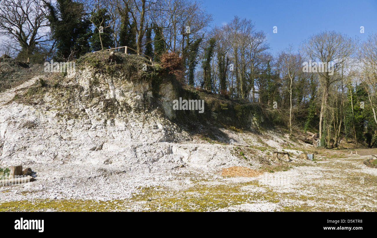 Disused chalk quarry at Ringstead Downs in Norfolk, now a picnic area ...