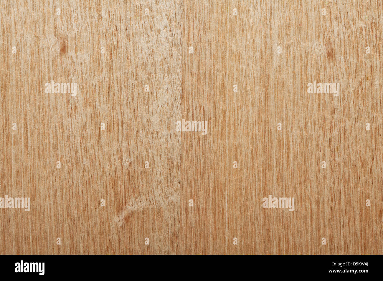 closeup image of natural wood texture Stock Photo - Alamy
