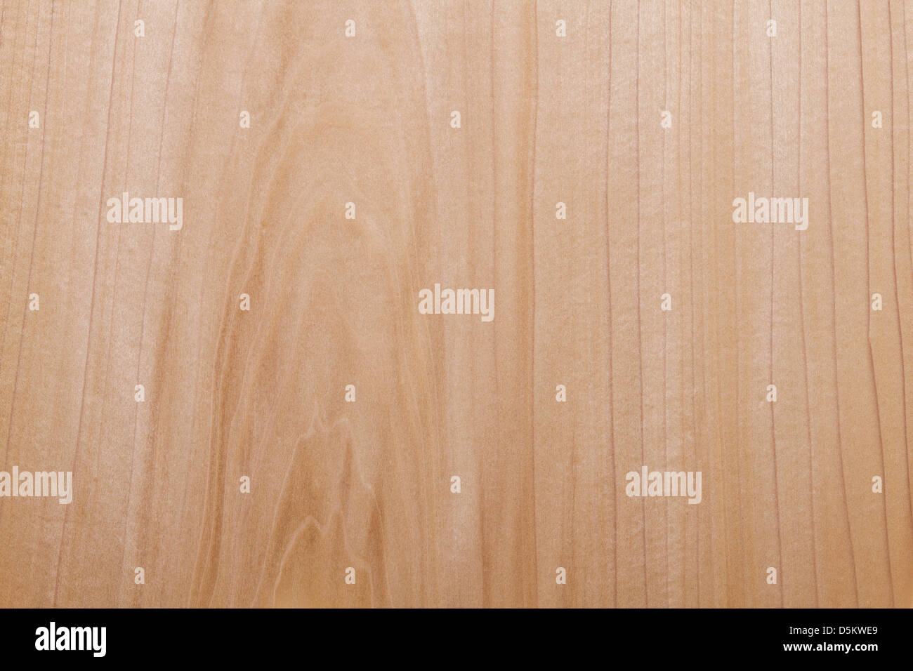 closeup image of natural wood texture Stock Photo - Alamy