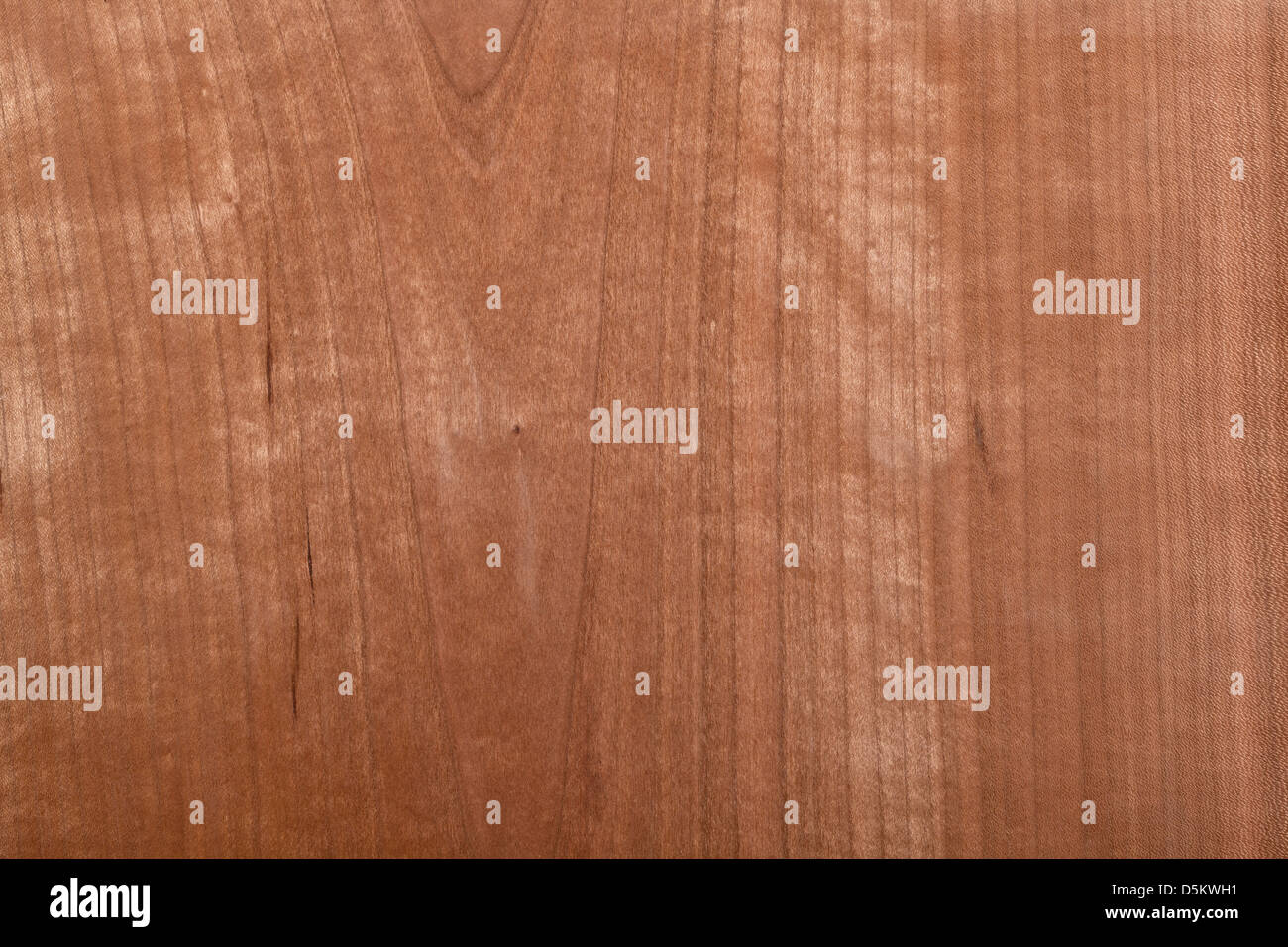 closeup image of natural wood texture Stock Photo - Alamy