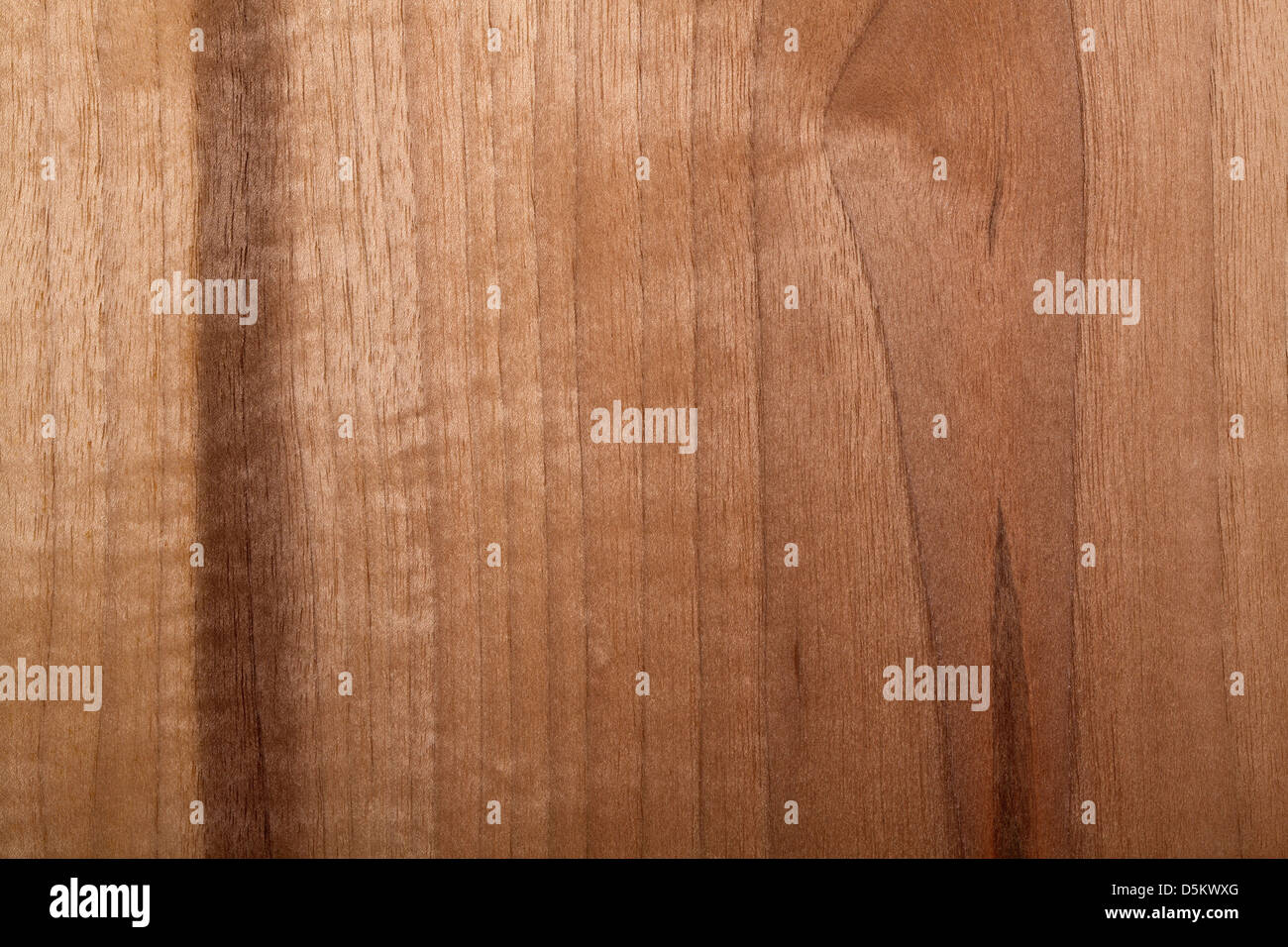closeup image of natural wood texture Stock Photo - Alamy