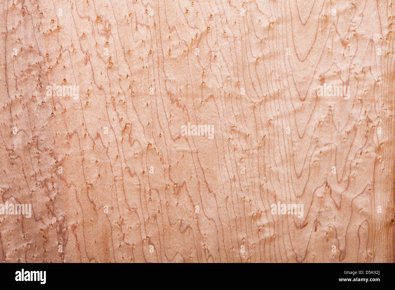 closeup image of natural wood texture Stock Photo - Alamy