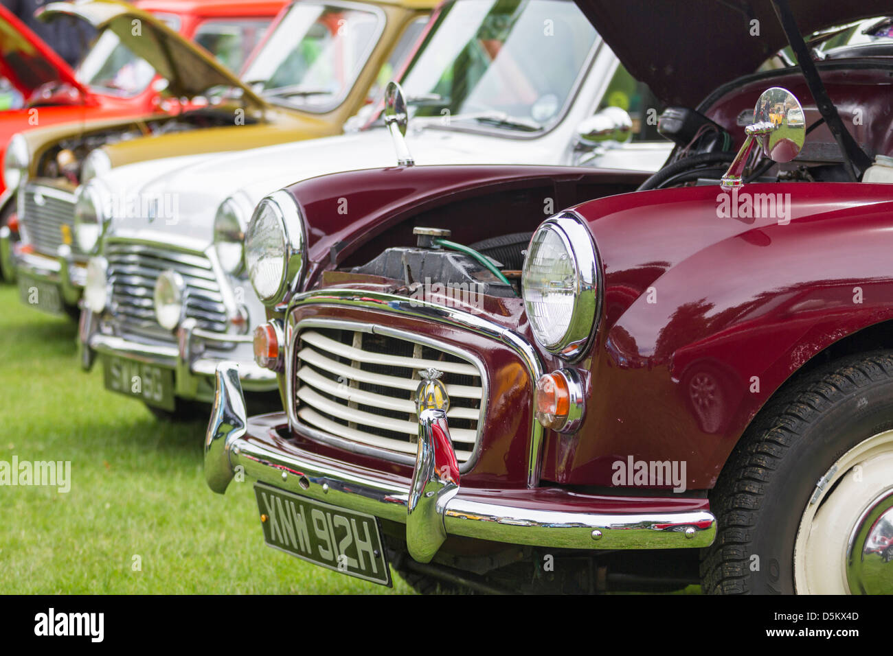 Morris Mini-Minors at a Mini rally in Northumberland, England Stock ...