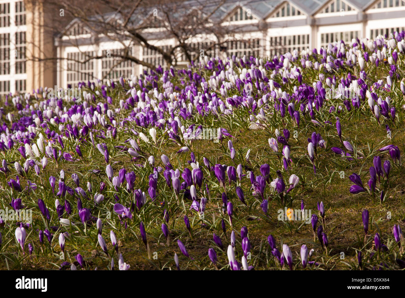 Renovated Sheffield High Resolution Stock Photography and Images - Alamy