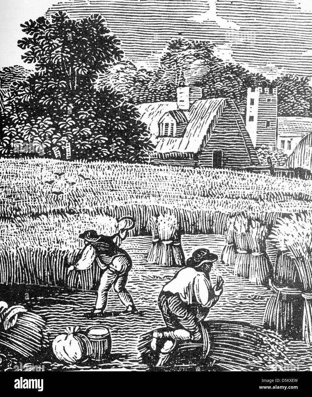 Victorian 19th Century Farming High Resolution Stock Photography and ...