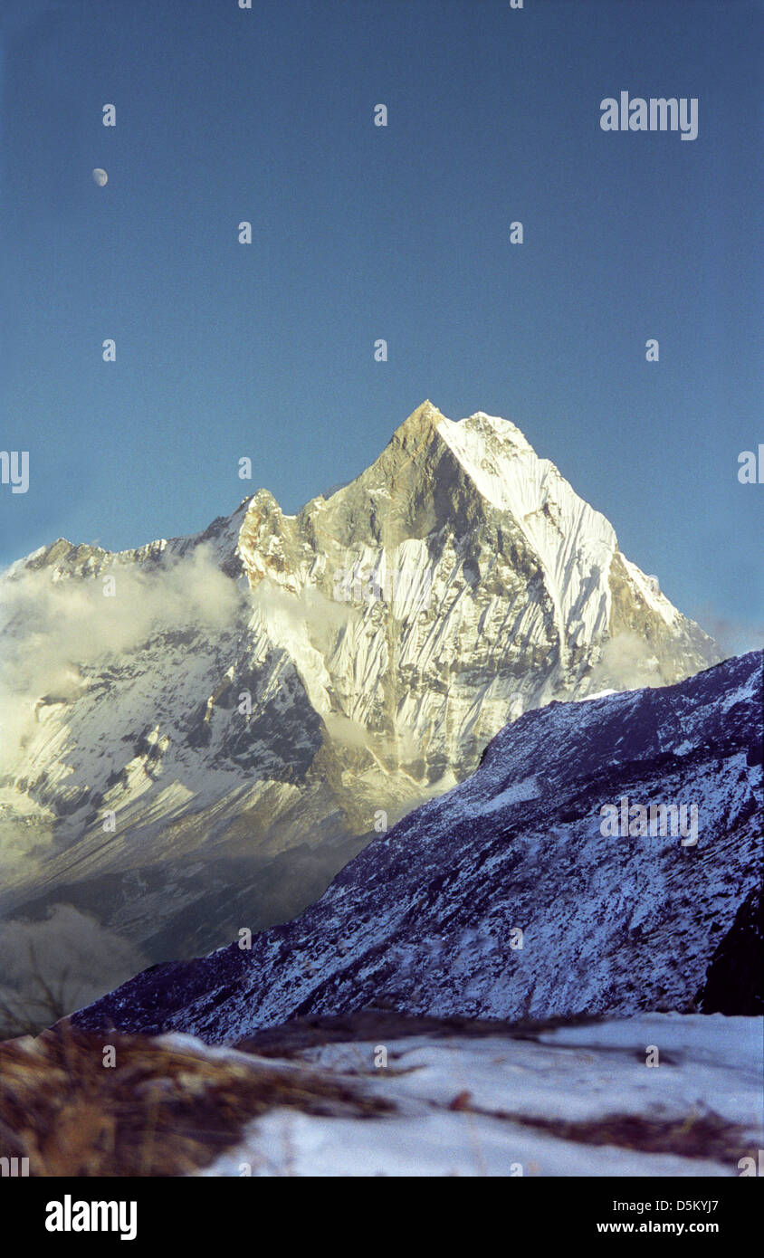 Machhapuchhe or Fish Tail Peak height 6993 from just above Annapurna ...