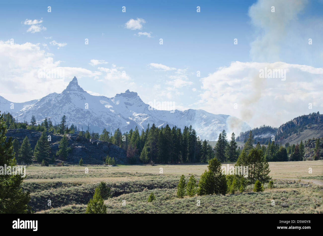 USA, Wyoming, Absaroka-Beartooth Wilderness, Forest with smoke Stock ...