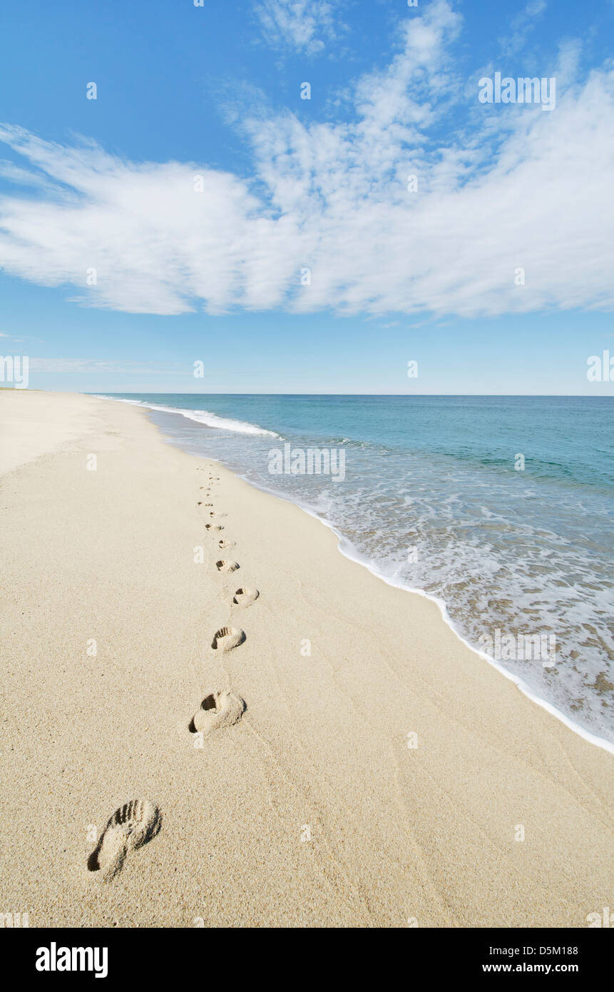 Footprints on sandy beach Stock Photo - Alamy