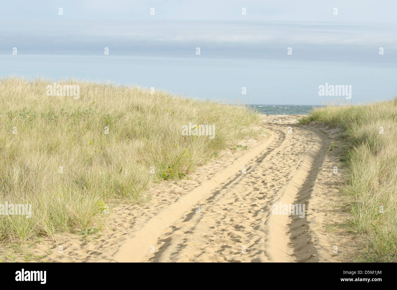 USA, Massachusetts, Nantucket, Path with tyre track Stock Photo - Alamy