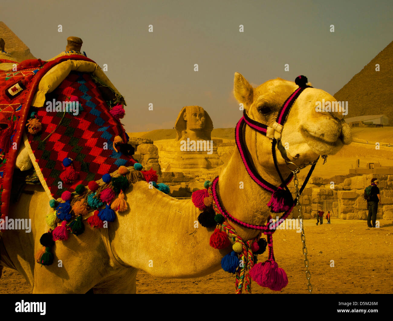 Giza sphinx and pyramid hi-res stock photography and images - Alamy