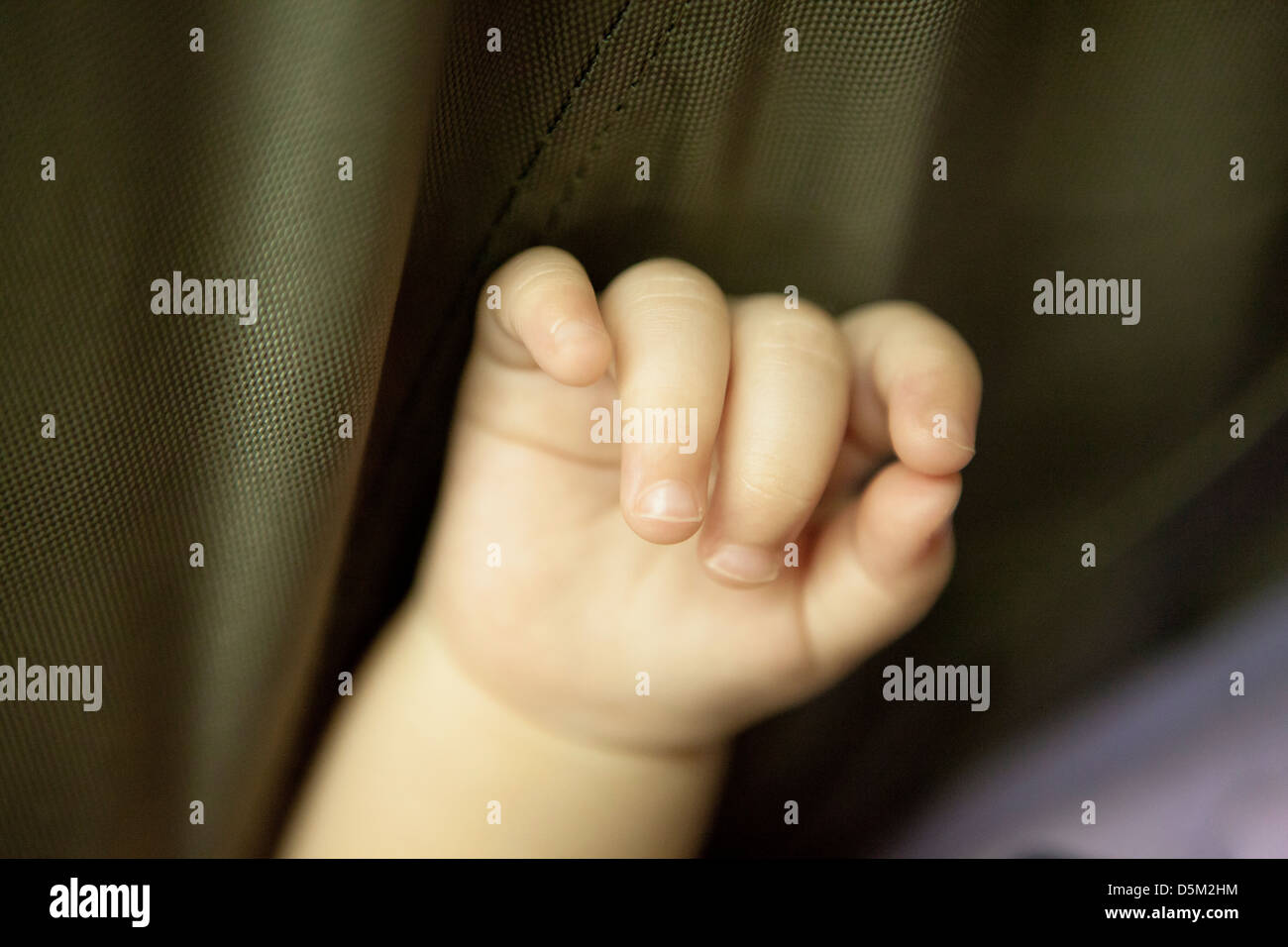 hand of a child Stock Photo - Alamy