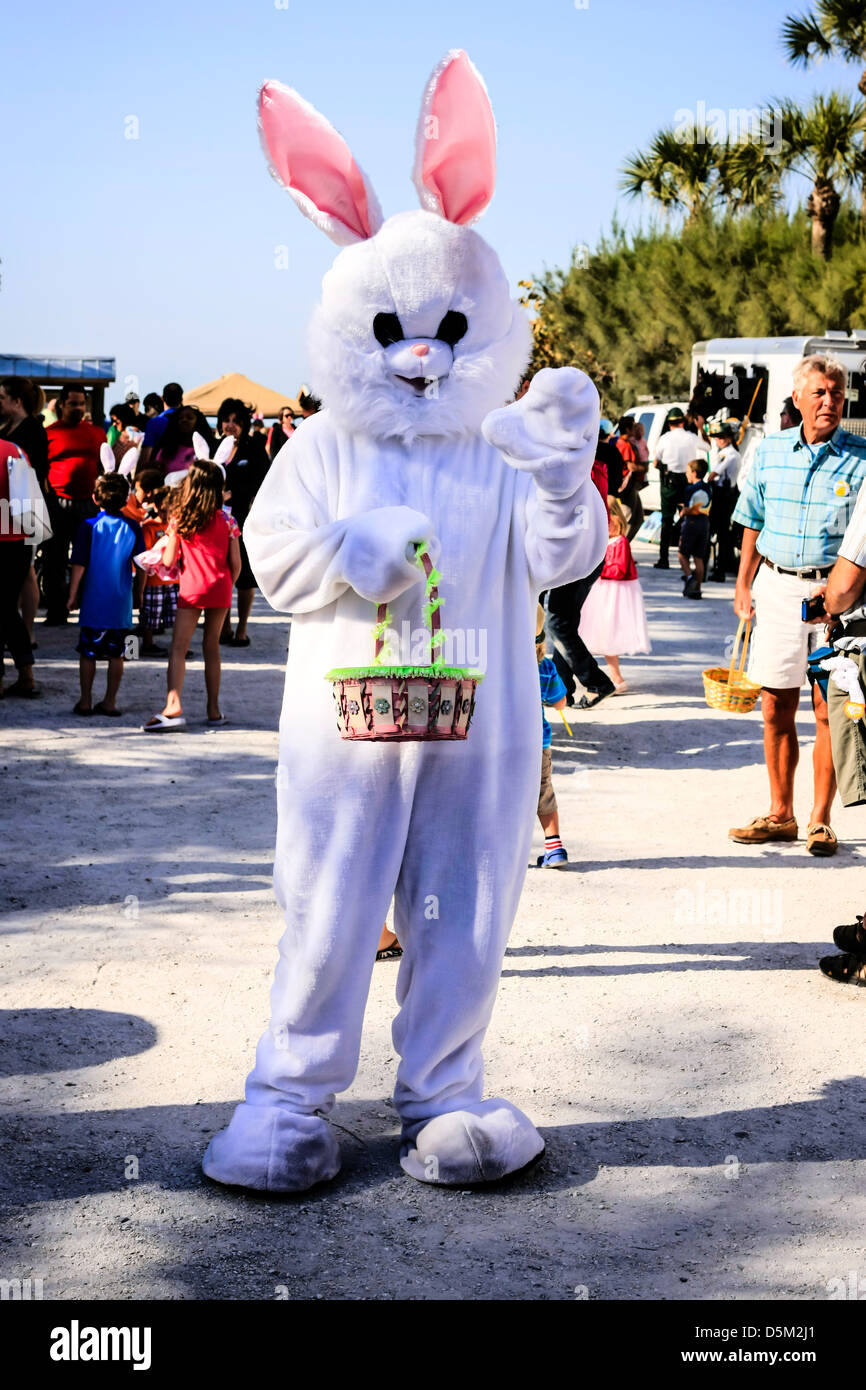 White Easter Rabbit at Siesta Key Village in Florida Stock Photo - Alamy