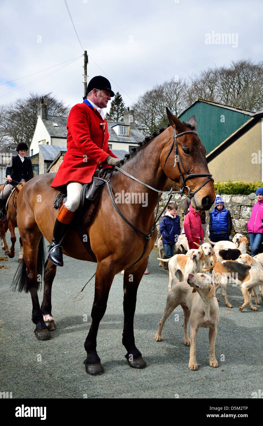 The Hunt meet on Dartmoor, Devon, UK Stock Photo - Alamy