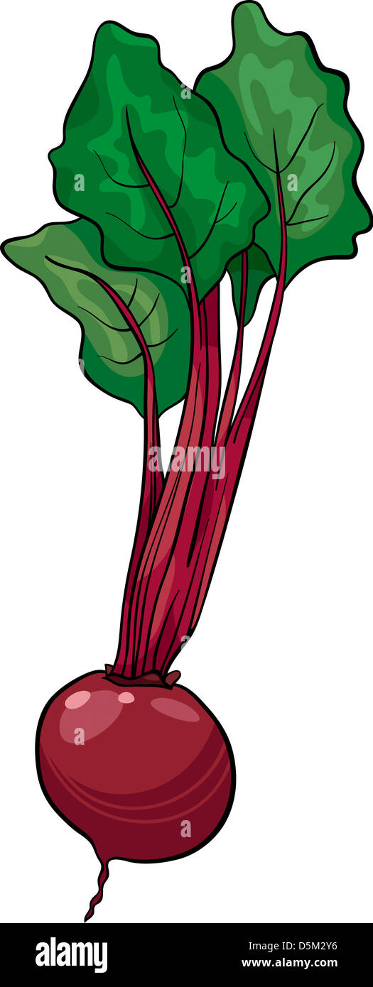 Cartoon Illustration of Beet Vegetable Food Object Stock Photo - Alamy