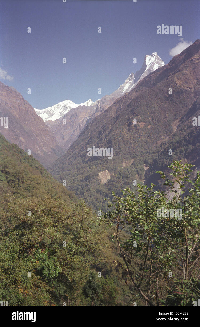 Modi khola valley hi-res stock photography and images - Alamy