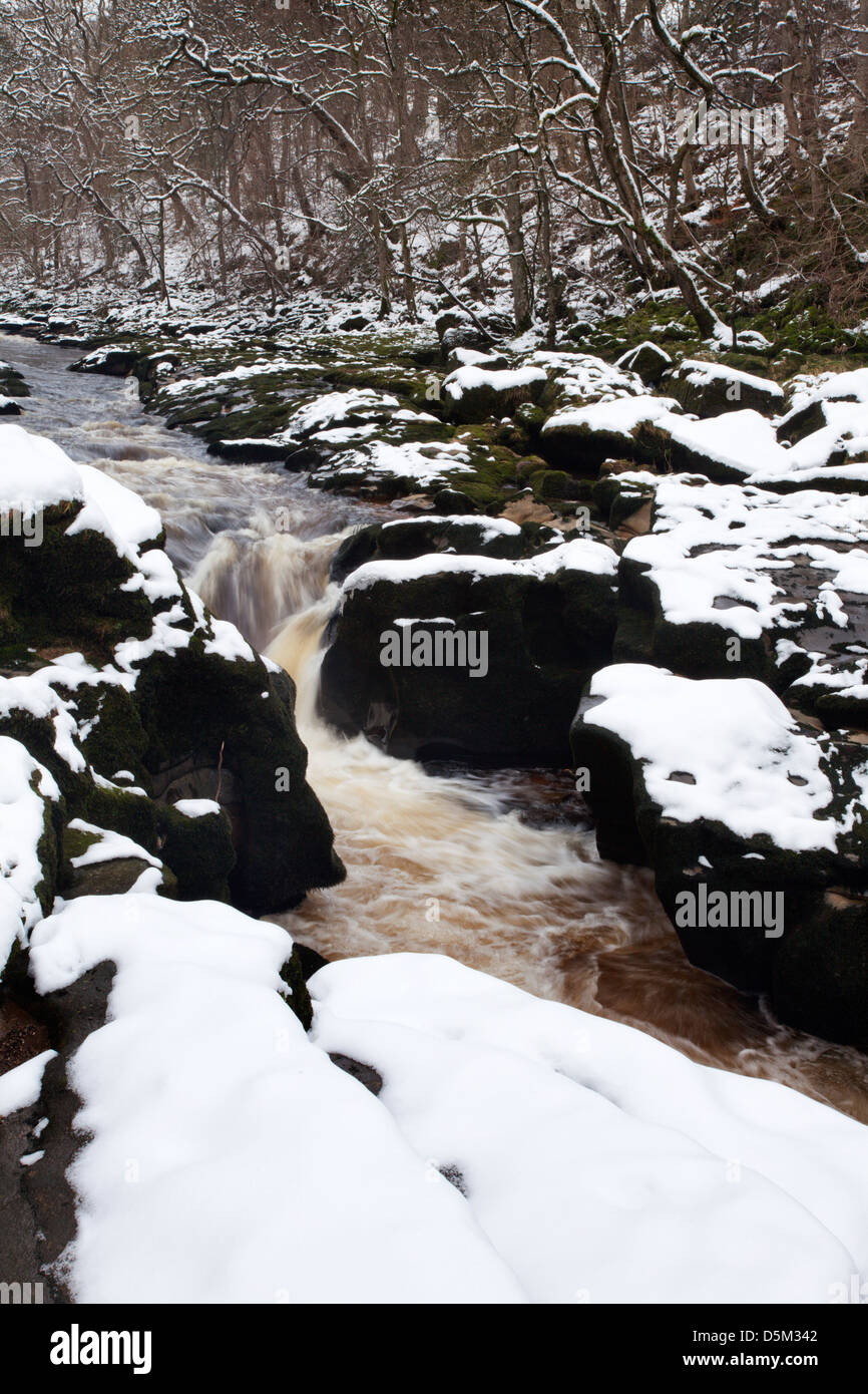 The Strid in Winter Bolton Abbey Yorkshire England Stock Photo - Alamy