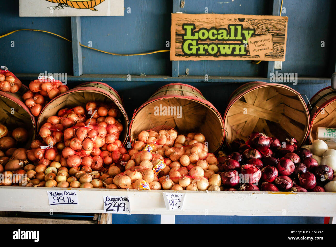 Locally grown Onions for sale at a farmers market shop in Florida Stock ...
