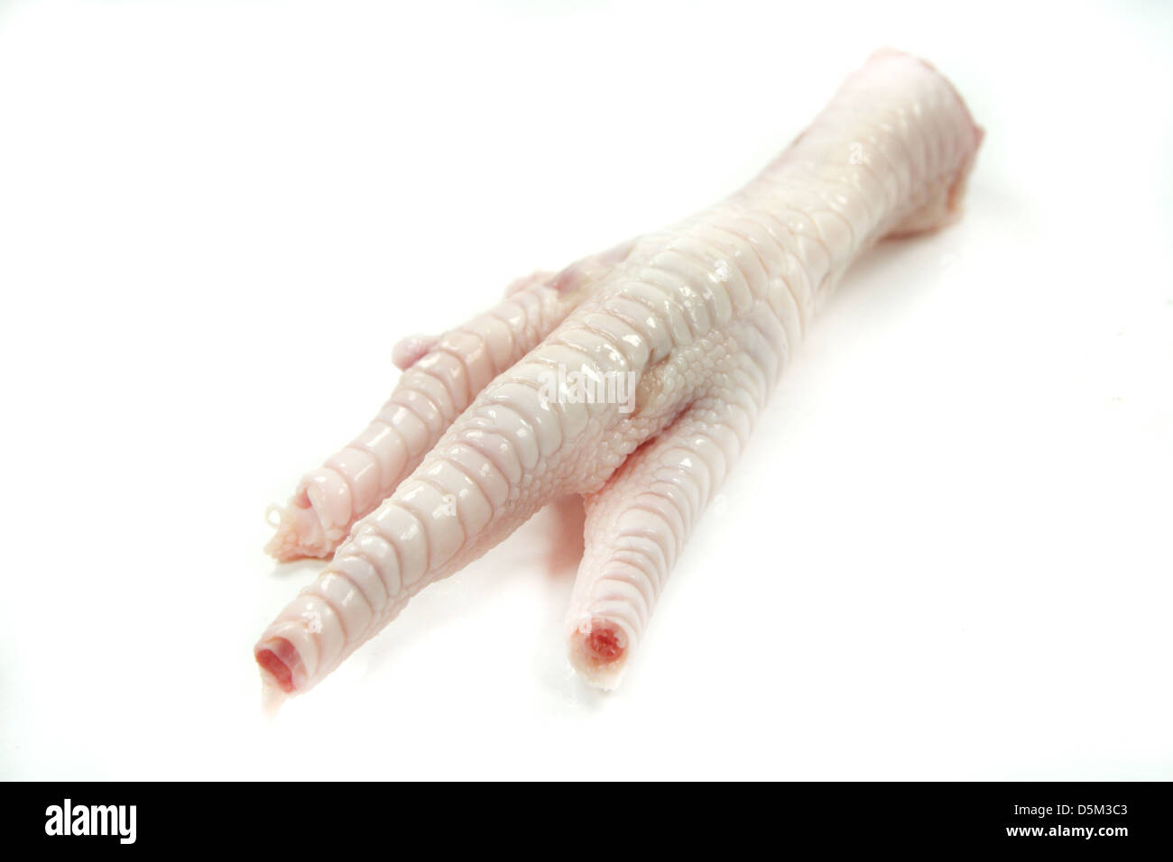 Chicken foot hi-res stock photography and images - Alamy