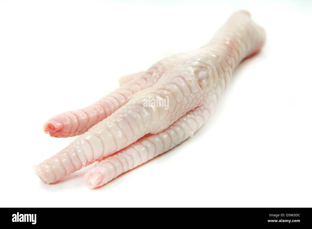 Chicken foot hi-res stock photography and images - Alamy