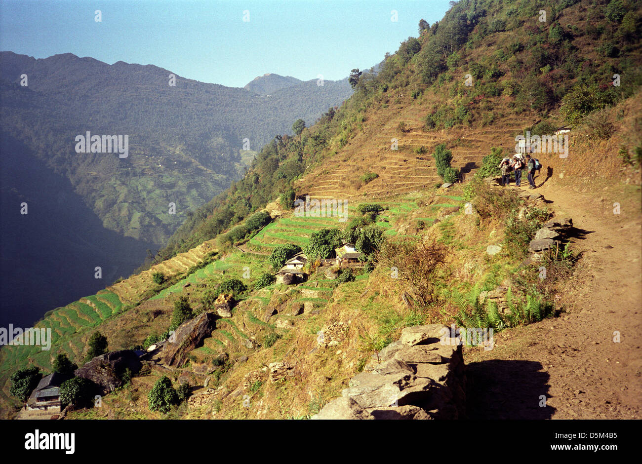 Modi khola valley annapurna sanctuary hi-res stock photography and ...