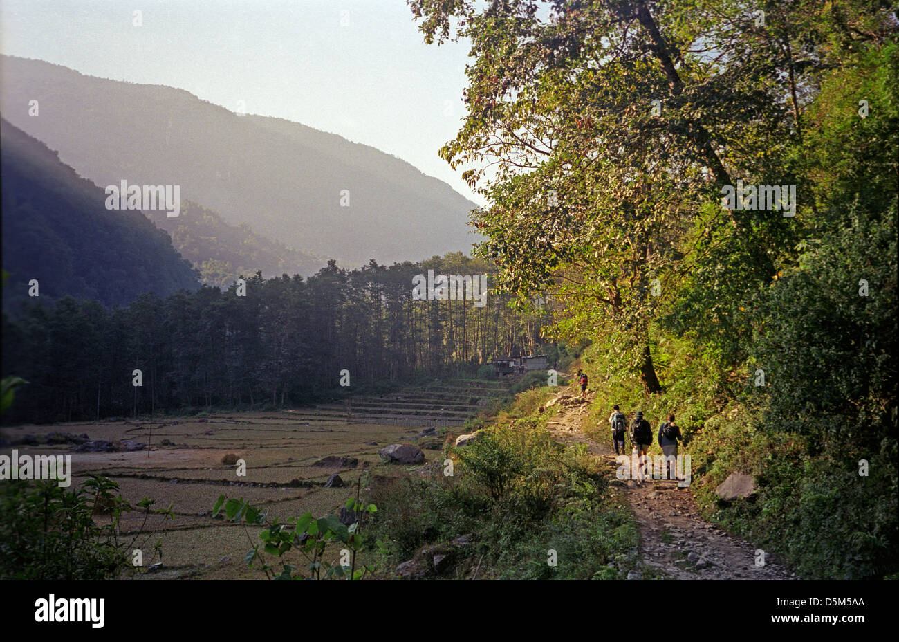 Naya bazar hi-res stock photography and images - Alamy